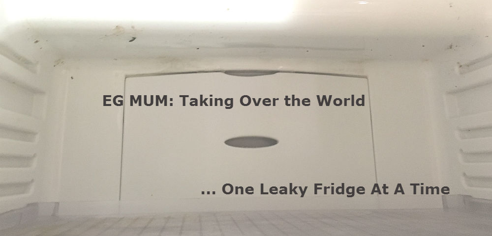 One Fridge At A Time – Evil Genius Mum